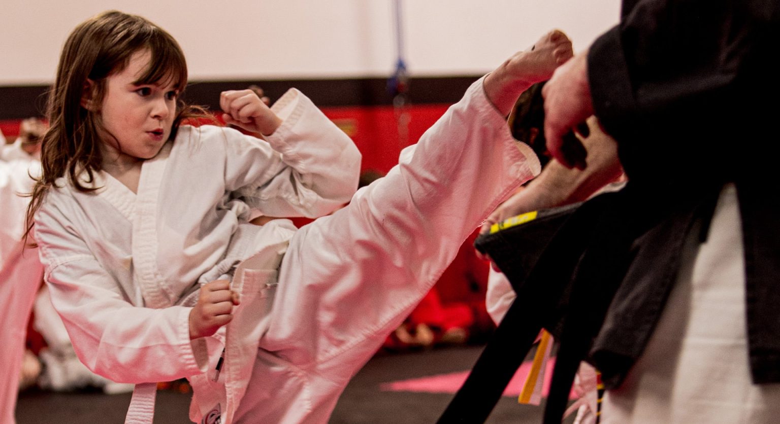 Douvris Martial Arts - Karate & Fitness Kickboxing: 10 Ottawa Locations